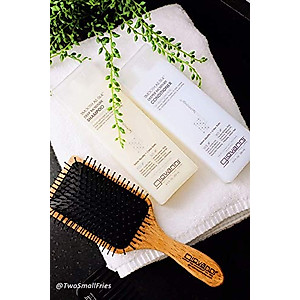 GIOVANNI Eco Chic Smooth as Silk Deeper Moisture Conditioner, 24 oz. - Apple + Aloe Extracts, Calms Frizz, Detangles, Wash & Go, Lauryl & Laureth Sulfate Free, Paraben Free, Color Safe