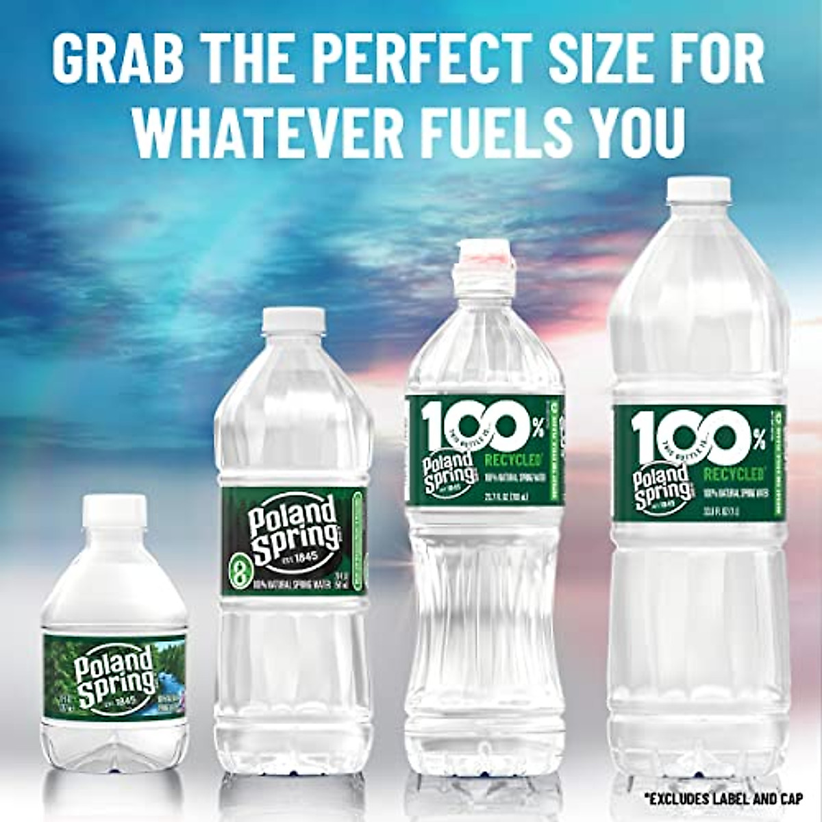 Poland Spring Brand 100% Natural Spring Water, plastic bottles,16.9 Fl Oz (Pack of 12)