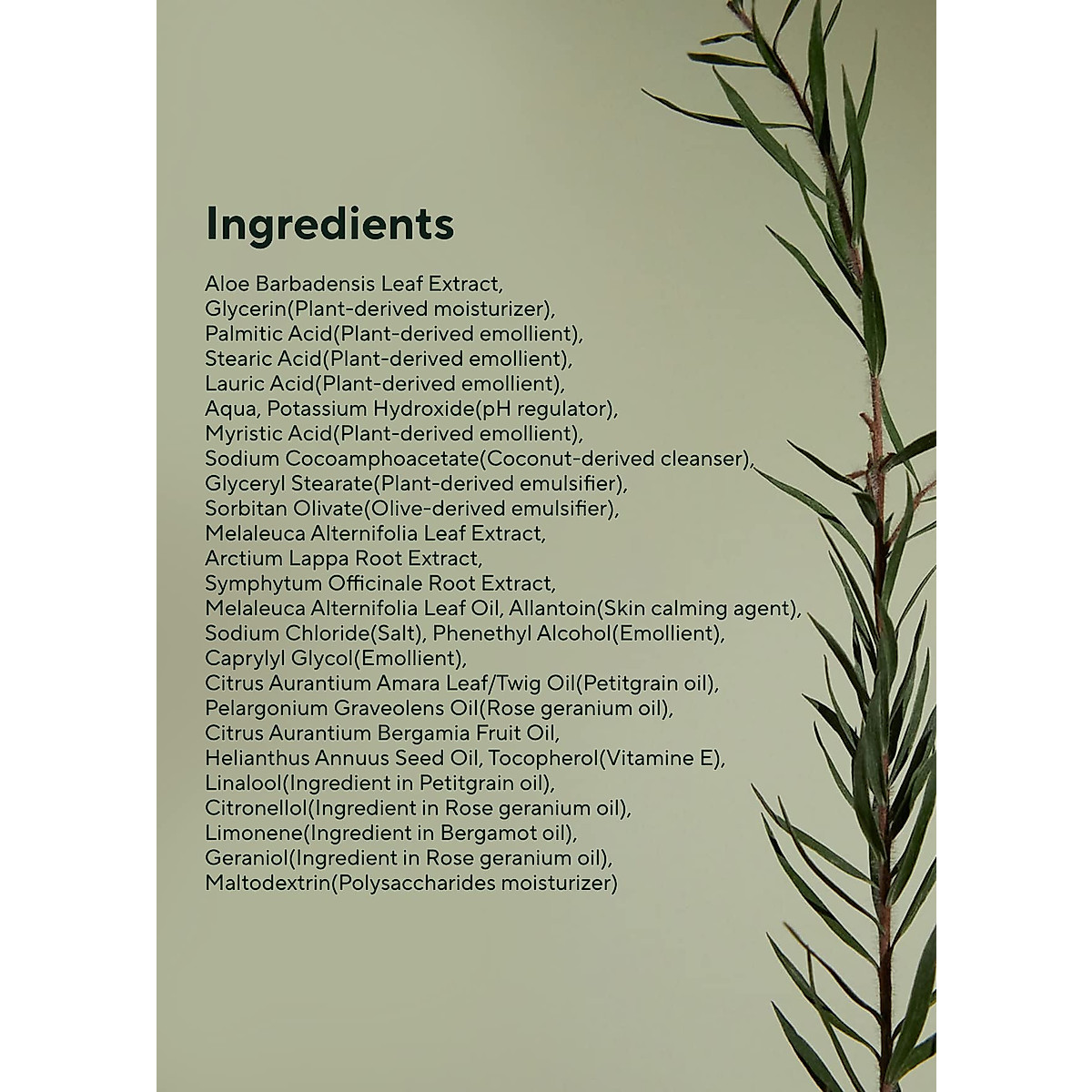 AROMATICA Tea Tree Balancing Foaming Cleanser 6.35oz / 180g, Vegan Double Cleanser Face Wash For Oily Skin, EWG Verified