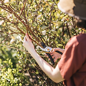 Fiskars Gardening Tools: Bypass Pruning Shears, Sharp Precision-ground Steel Blade, 5/8” Plant Clippers (91095935J)