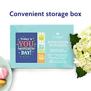 24 Appreciation Cards with Colorful Envelopes and Gold Stickers - Team Gifts, Teacher Gifts Bulk, Volunteer and Employee Appreciation Cards, Gratitude and Encouragement Cards - Boxed Set of Thank You