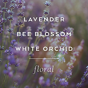 LOLLIA Relax Eau de Parfum, 3.4 fl. oz. - Women's Fragrance with Lavender & Honey, White Orchids, Indian Amber & Tahitian Vanilla