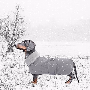 Geyecete Dog Jacket, Dog Coat Perfect for Dachshunds,Dog Winter Coat with Padded Fleece Lining and high Collar,Dog Snowsuit with Adjustable Bands Sizes-Gray-XS
