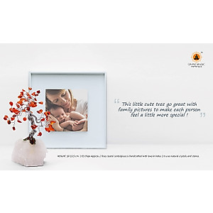 Divine Magic Carnelian Healing Good Luck Money Tree Abundance Home Decor Decoration Crystal Tree Sculpture Gift Figurine Good Health Wealth