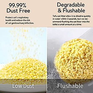 PETTIME Tofu & Corn Litter Large 12lb Dust-Free Clumping Cat Litter Quickly Absorb Cat Odors Pure Natural Toilet Flushable Corn Litter