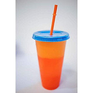 Color Changing Cups: 24oz Cold Cups - 5 Reusable Cups, Lids and Straws - Stocking Stuffers - Christmas Present, Set of 5, …