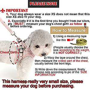 Zunea No Pull Small Dog Harness and Leash Set Adjustable Reflective Step-in Chihuahua Vest Harnesses Mesh Padded Plaid Escape Proof Walking Puppy Jacket for Boy Girl Pet Dogs Cats Pink XS