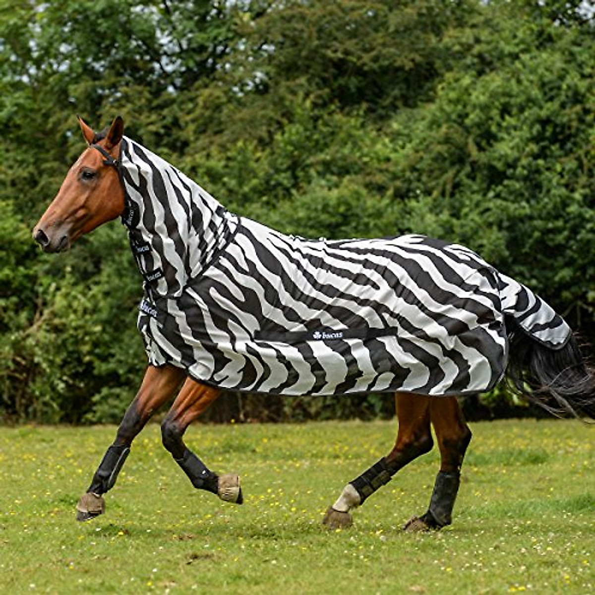 Bucas - Buzz Off Zebra + Neck Fly Sheet