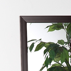Fuji Boeki 10523 Full-Length Wall Mirror, Height 35.4 inches (90 cm), Brown, Wood, Shatterproof