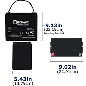 Mighty Max Battery ML55-12INT -12 Volt 55 AH, Internal Thread (INT) Terminal, Rechargeable SLA AGM Battery