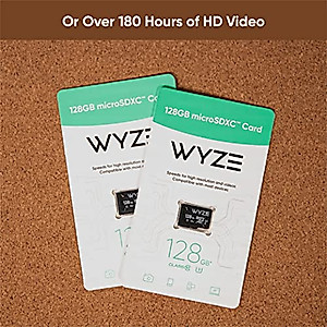 Wyze Expandable Storage 128GB MicroSDXC Card Class 10, Black