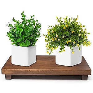 Wood Riser for Display Walnut Wood Pedestal Stand, Farmhouse Decor Soap Tray, Displays Your Plant Bottles Candles for Your Home Kitchen (Large, 12 x 7.1 x1.57Inch)