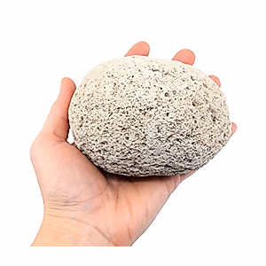 Raw Pumice, Igneous Rock Specimen - Hand Sample - Approx. 3" - Geologist Selected & Hand Processed - Great for Science Classrooms - Eisco Labs