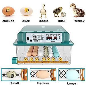 Ganggend 36 Eggs Incubators for Hatching Egg with Automatic Turner, Temperature Control Chickens Quail Egg Incubator, 12V/110V Humidity Monitoring Incubators for Farm Poultry Duck