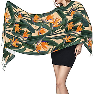 Cashmere Scarf Blanket with Tassel Bird of Paradise Womens Gifts Long Shawl Wraps Winter Stole
