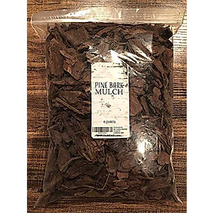 Pine Bark Mulch, 100% Natural Pine Bark Mulch, House Plant Cover Mulch, Potting Media, and More (4qt)