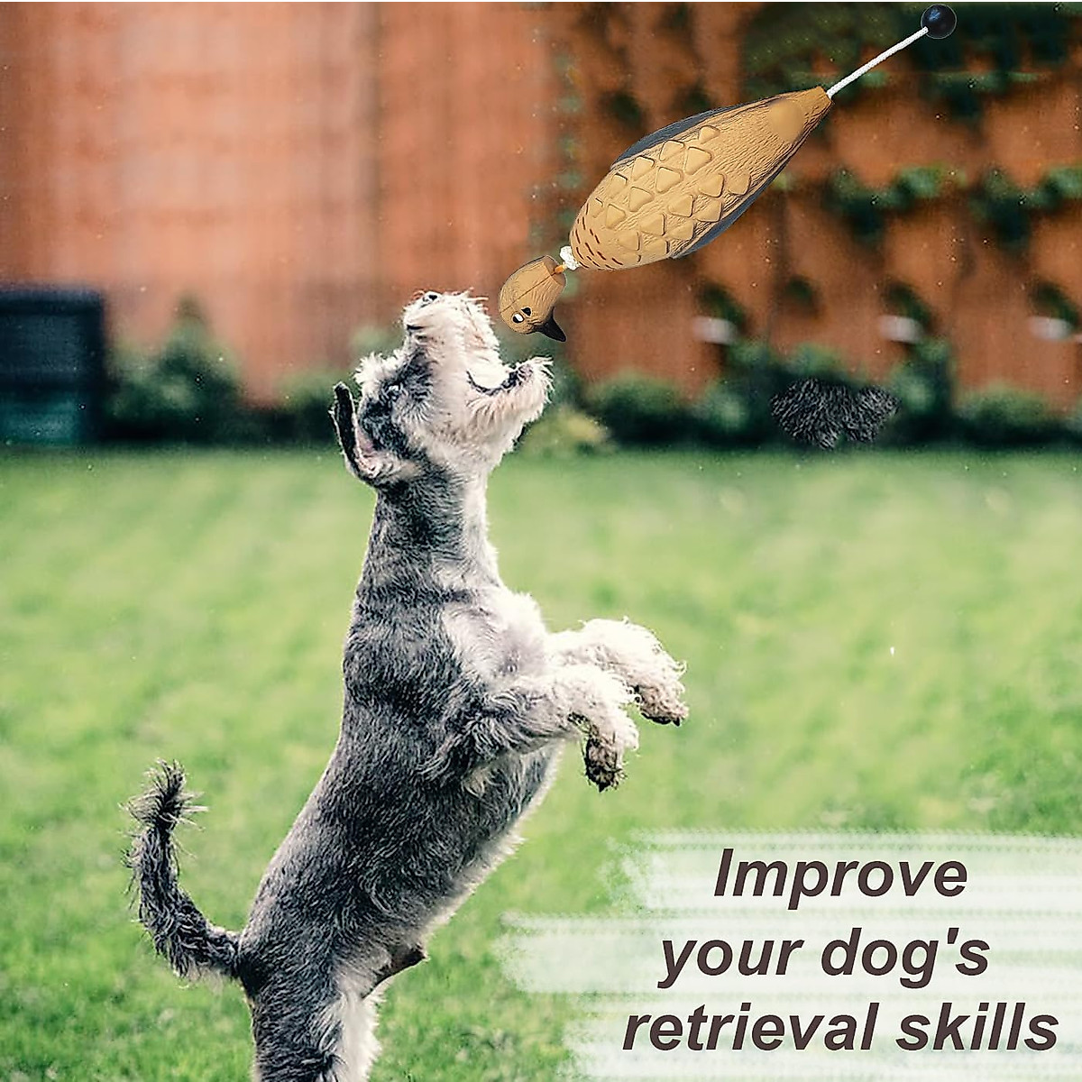 LECPECON Dove Dog Training Dummy Bumper for Hunting Dog Dummy Retriever Skills