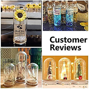 PH PandaHall 10pcs Cloche Bell Jar, Glass Display Dome with Cork Base 8ml Mini Glass Bottles Dome Decorative Jars Display Case for Flower Storage Home Christmas Party Favor Decoration, 0.86x1.4inch