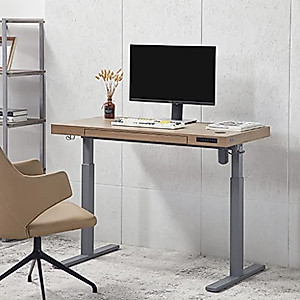 kowo Electric Height Adjustable Standing Desk with Drawer, 48" Home Office Wooden Computer Desk Ergonomic Memory Control Workstation Sit Stand Desk, Greige/Grey
