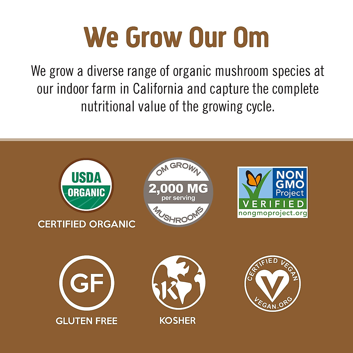 Om Mushroom Superfood Coffee Latte Blend Mushroom Powder, 8.47 Ounce Canister, 30 Servings, Lion's Mane, Cordyceps, Reishi, Chaga, Energy & Mental Clarity Support Supplement