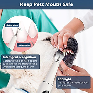 Aiieim Plaque Remover for Teeth,Dog Teeth Cleaning kit,Tartar Remover for Dog Tooth,5 Modes Ultrasonic Dental Tool Cleaner & Scraper for Pet Tooth with Led Light-White