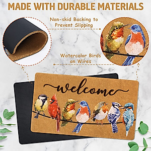 Birds On Wires Welcome Doormat, Durable Bird Welcome Rug Indoor Outdoor Hummingbird Cardinal Robin Non-Slip Rug for Entryway, Porch, Patio, Garage - 17 x 30 Inch