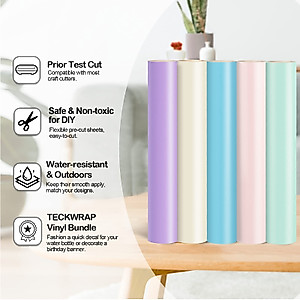 TECKWRAP Permanent Adhesive Vinyl Bundle for Crafting Cutter 12" x 36"/Rolls (Matte Lavender Purple,Ivory White,Cyan Blue,Light Pink,Mint Green)