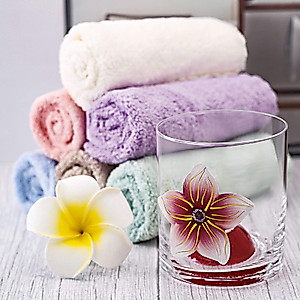 Syhood 12 Pieces Face Wash Cloth 12 x 12 in Makeup Remover Cloths Towel Coral Velvet Facial Microfiber Soft Fast Drying Facial Cleansing Towel for Face(Beige, Blue, Purple, Brown, Green, Pink)