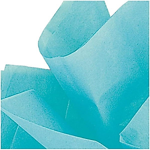 Black Tissue Sheets - (10 Ct) - Perfect for Gift Wrapping, Crafts & Decorative Needs