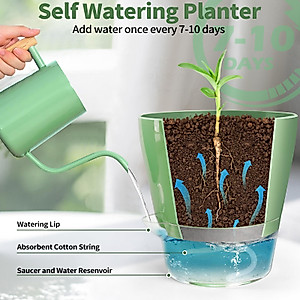 4 Pcs Self Watering Plant Pot , 6 inch Plant Pot with Drainage Hole and Large Capacity Reservoir, Pots for Plants with Saucer, 2 in 1 Indoor Plant Pots indoor Perfect for Living Room, Odorless