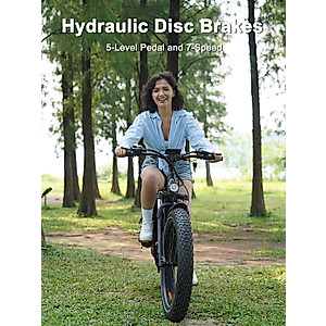 HAOQI Cheetah Electric Bike for Adults Peak 1000W UL 2849 Certified 48V 16AH/25Ah Battery Adult Electric Bicycles 26”*4”Fat Tire Full Suspension 28MPH Mountain Ebike 7 Speed Max 85 Miles Range