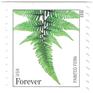 USPS Ferns Stamps - 50 Forever Stamps (5 Strips of 10 Stamps)