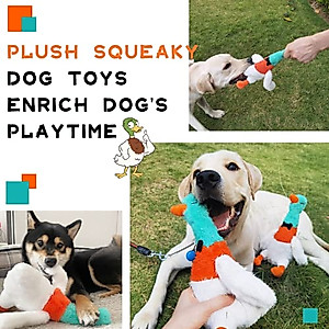 REQIHO Squeaky Dog Toys - Durable Plush Duck Crinkle Paper Stuffed Animal Toys for Small to Large Dogs