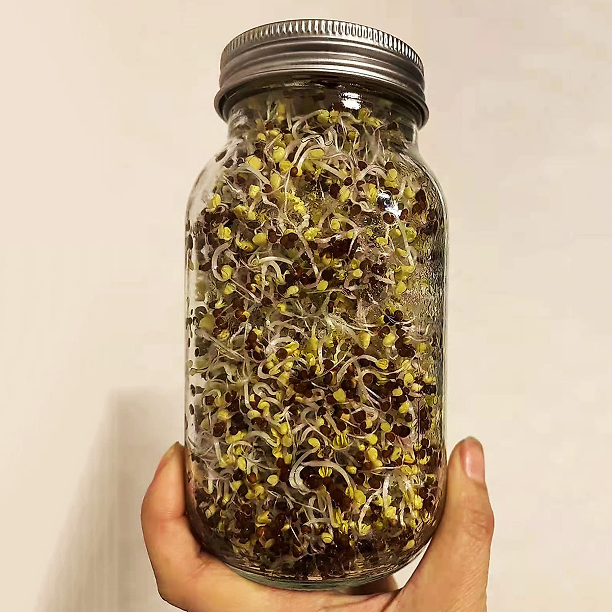 5 Pack 316 Stainless Steel One-Piece Mesh Strainer Lids for 3.38 Inch Wide Mouth Mason Jar,Sprouting Lids, NO RUST,Bean Sprout Sieve Lids,NO JAR QurHapzy