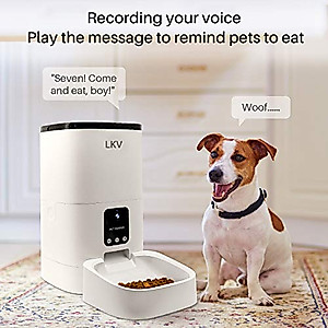 LKV Automatic Pet Feeder, Automatic Food Dispenser for Cats, Dogs and Small Animals, 6L, White (LKV-PFD-101)