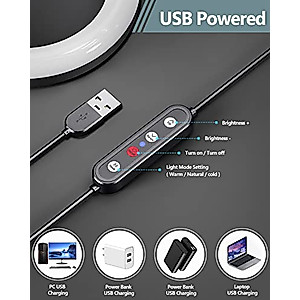 Video Conference Lighting Kits, Pnitri 6.3'' Laptop Ring Light with Clip and Tripod, 10 Brightness Level & 3 Light Modes for Lighting/Video Conferencing/Makeup