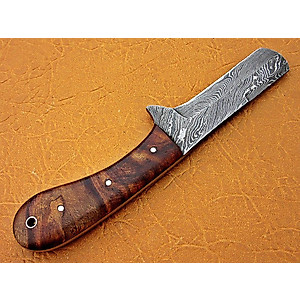 Black Smith Custom Knives DM-BC-01 Handmade Damascus Steel Bull Cutter Cowboy hunting castration and skinning knife, 8" Rose Wood Handle, Fixed Blade EDC Knife With Leather Sheath