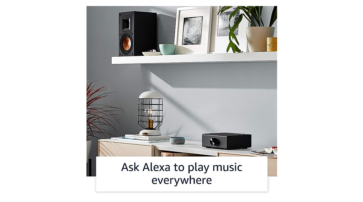 Echo Link Amp: Hi-Fi Music Streaming with Alexa