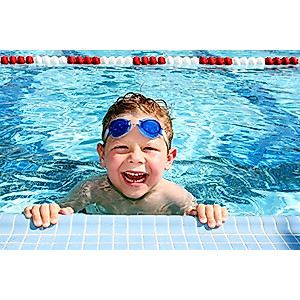 4 LB Conditioner & Chlorine Stabilizer for Swimming Pools Cyanuric Acid by Nu-Clo 1306