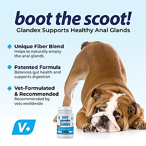 VETNIQUE Dermabliss Seasonal Dog Allergy Chews (60ct) & Glandex Anal Gland Support Powder with Pumpkin for Dogs (5.5oz Beef) Bundle