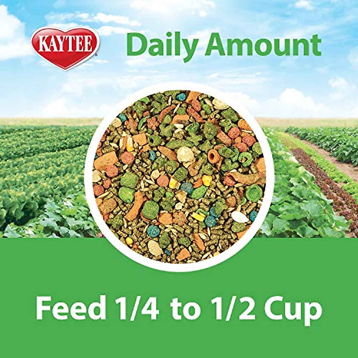 Kaytee Fiesta Pet Guinea Pig Food, 4.5 Pound