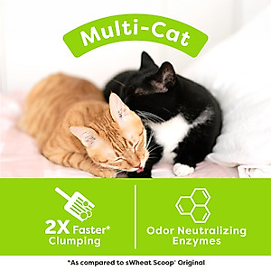 sWheat Scoop Natural Wheat Multi-Cat Litter, Superior Clumping with Odor Neutralizing Enzymes, 25 Pound Bag