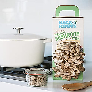 Back to the Roots Organic Mushroom Grow Kit - Oyster and Pink Mushroom 2-Pack Variety - Indoor Non-GMO Growing Kit - Produces 3-4 Servings and Grows in 10 Days