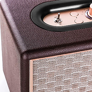 TEWELL Vintage Bluetooth Speakers with Bass Enhanced Technology, Wireless & 3.5mm Aux Input for Cellphone, AC Powered (Upgraded Version)