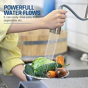 Pull Down Kitchen Faucet Head Replacement Parts - Kitchen Faucet Sprayer Head For Moen, Delta- American Standard - Sink Faucet Head With 9 Nozzels - 3 Functions Spray Head Spiral (‎Brushed Nickel)