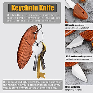 Roczipeng 2 Pieces Small Pocket Knife with Sheath, Keychain Knife for Men, Box Cutter Knife, Fish Shaped Fixed Blade Knife, EDC Pocket Knives for Outdoor Camping