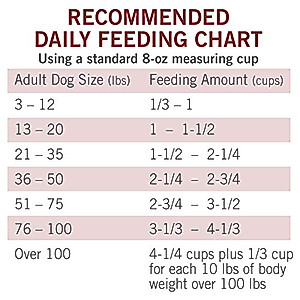 Purina Dog Chow Dry Dog Food, Complete Adult With Real Beef - 52 lb. Bag