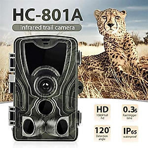DUONIANHESJ HC801A Hunting Camera 16MP 32GB/64GB IP65 Photo Traps 0.3s Trigger Time 940nm Wild Camera 1080P Waterproof Trail Camera (Color : 1pc, Ships from : China)