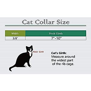 Custom Breakaway Cat Collars with Bell - Engraved Stainless Steel No Noise Slide-On Identification Tags On Collar - Up to 3 Lines of Personalized Text (Reflection)