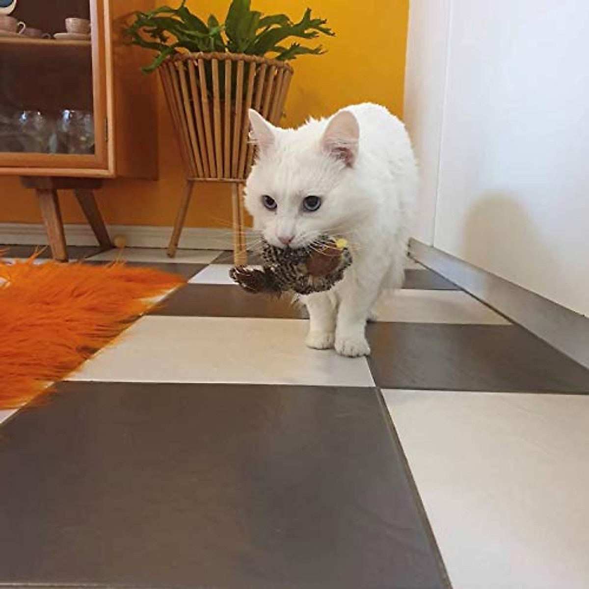 GIGWI Melody Chaser Motion Activated Bird, Black (G10052A1)